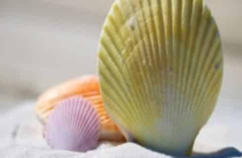 Vacation in Delaware near Rehoboth Beach Broadkill Beach & Golf Courses